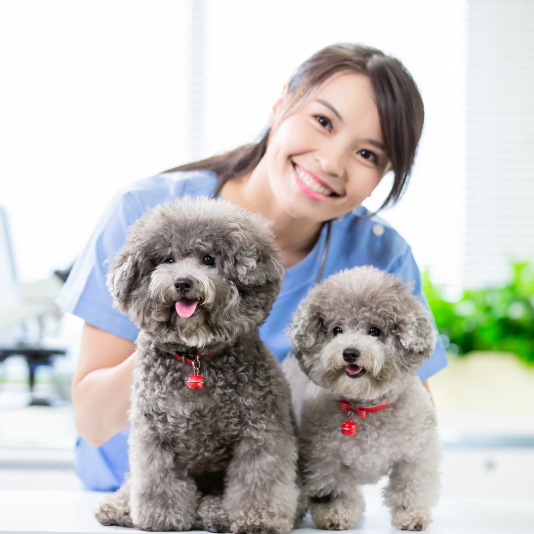 Exotic Pet Care In Newberg, OR | Family Pet Clinic Of Newberg